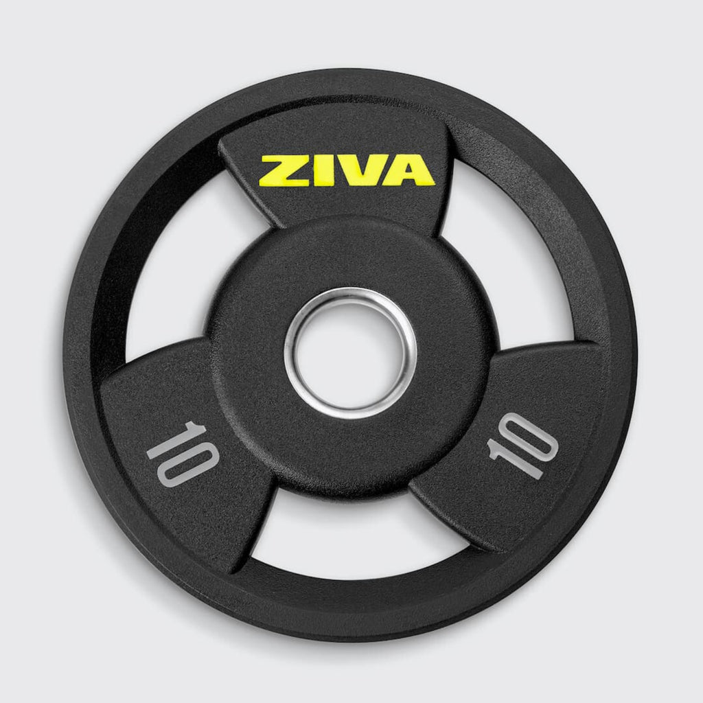 SL Urethane Grip Discs